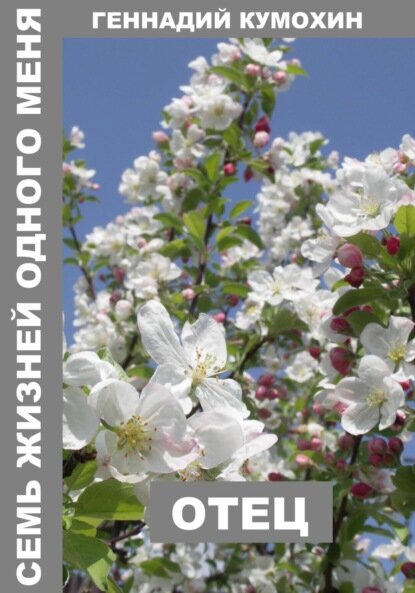 Семь жизней одного меня. Отец [Цифровая книга]