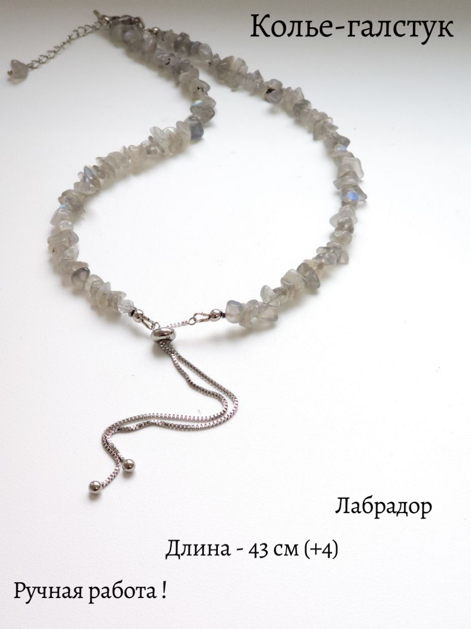 Колье, лабрадор