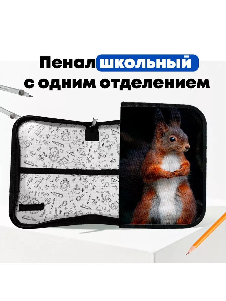Школьный пенал Белка