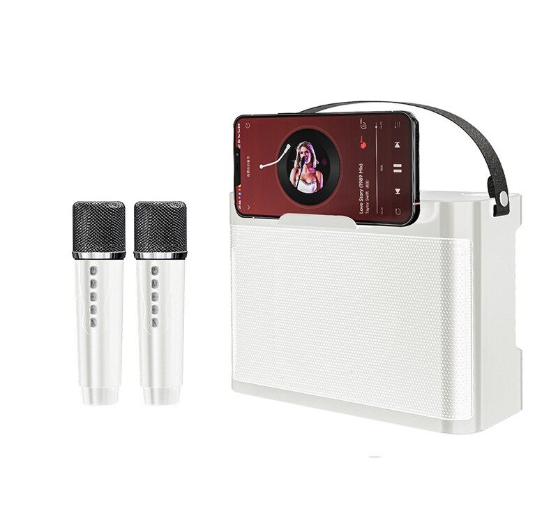 Музыкальный центр с караоке и Bluetooth, 2 микрофона, портативный для дома и вечеринок