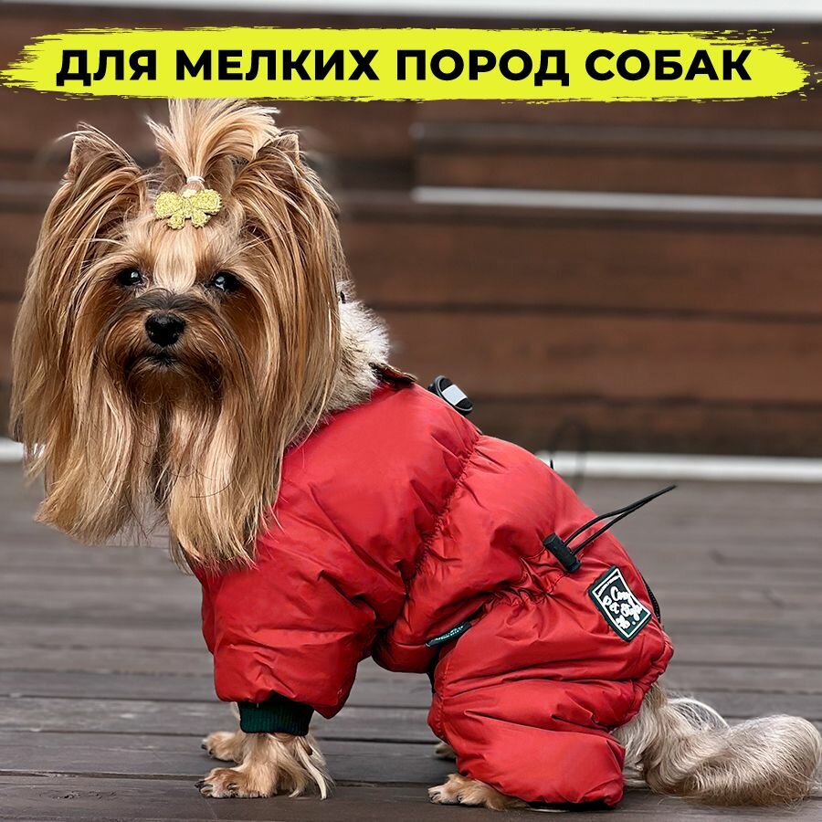 Одежда для животных — фото 1