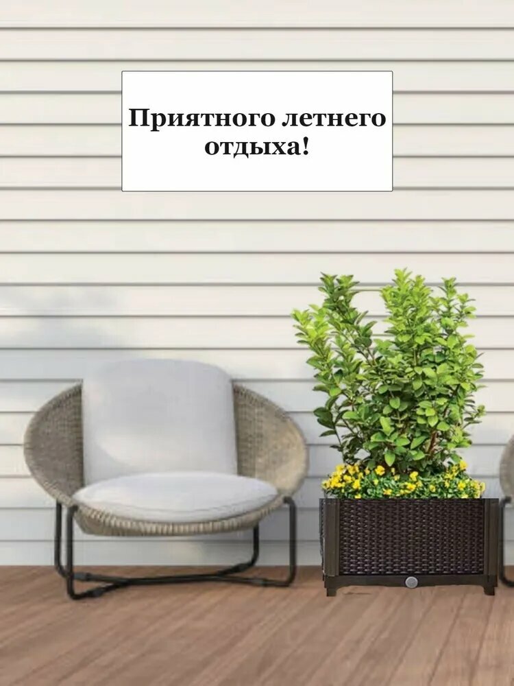 Кашпо, уличное, пластик, гипоаллергенный, коричневое, 40х40 х22см