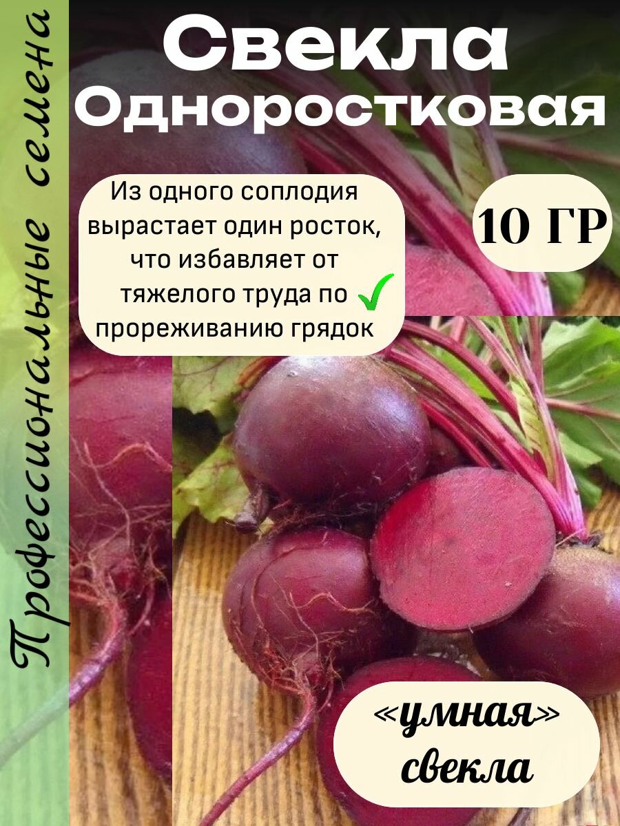Семена Свекла Одноростковая 10гр