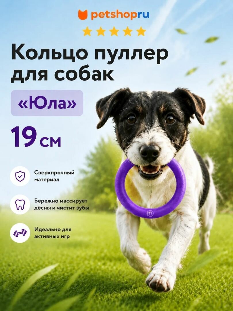 PETSHOP Кольцо пуллер для собак "Юла", 19 см