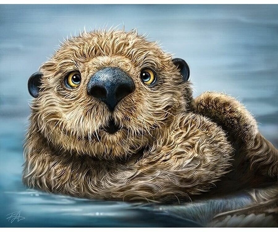 Картина по номерам 40х50 Мокрый бобер