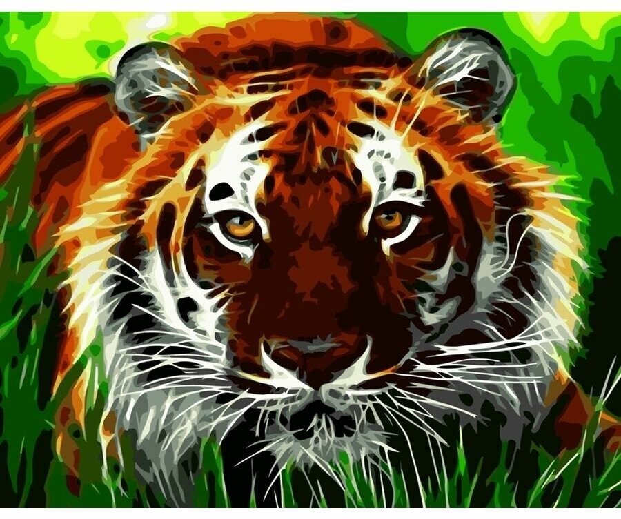 Картина по номерам на холсте Притаившийся тигр