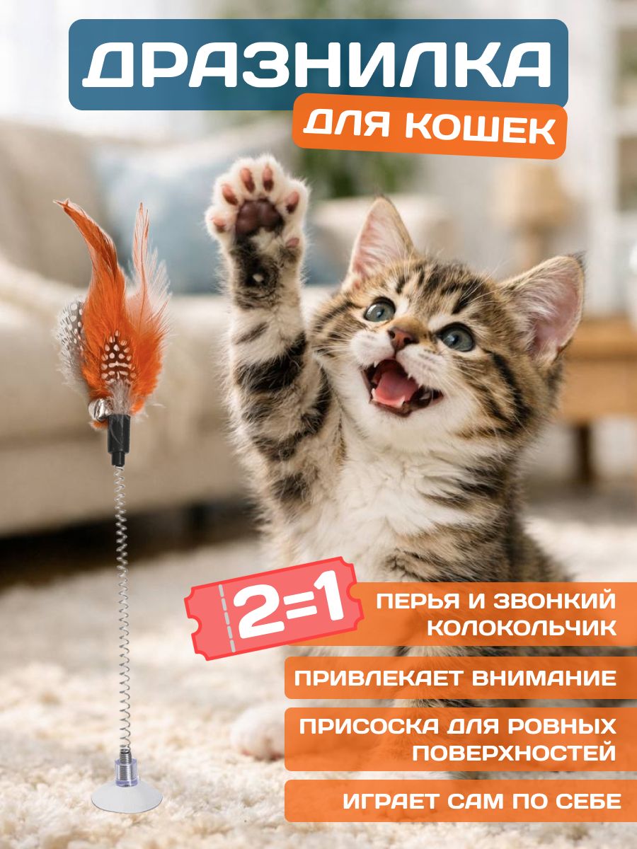 Игрушка для кошек, для игр и активности питомца, для дома и прогулок, для собак и кошек по размеру игрушки, для игр