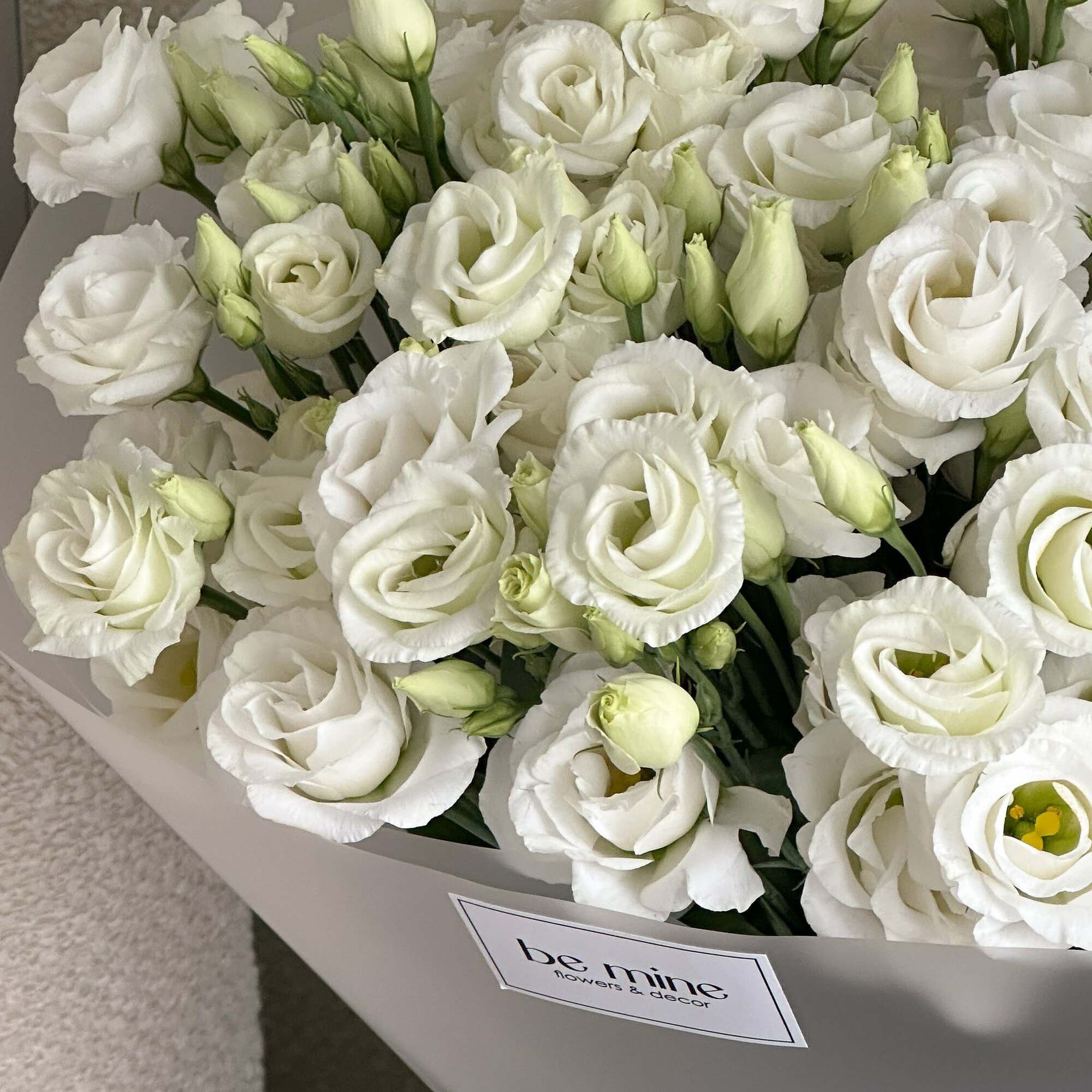 Нежная белая эустома — фото 1