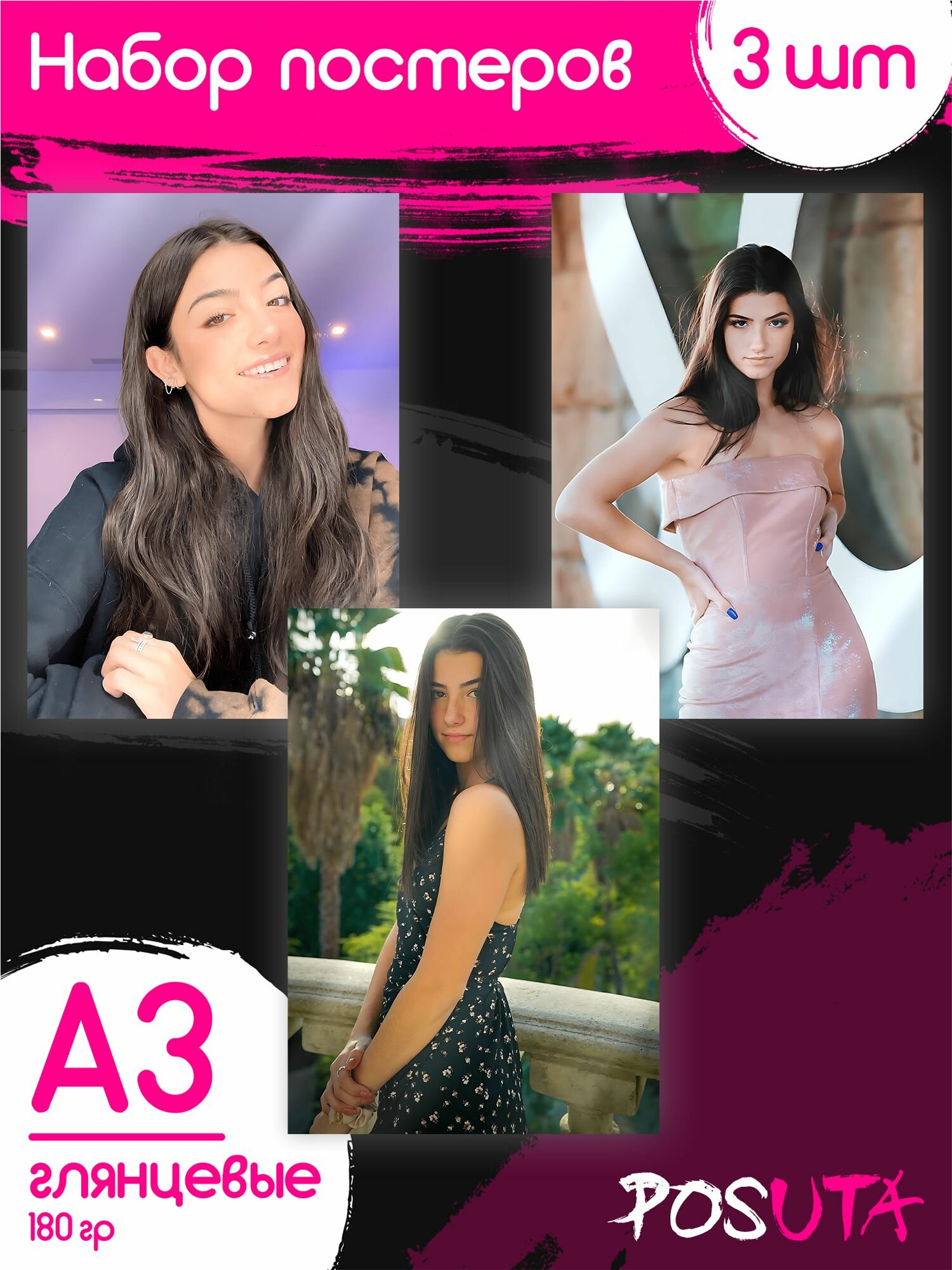 Постеры на стену Чарли Дамелио