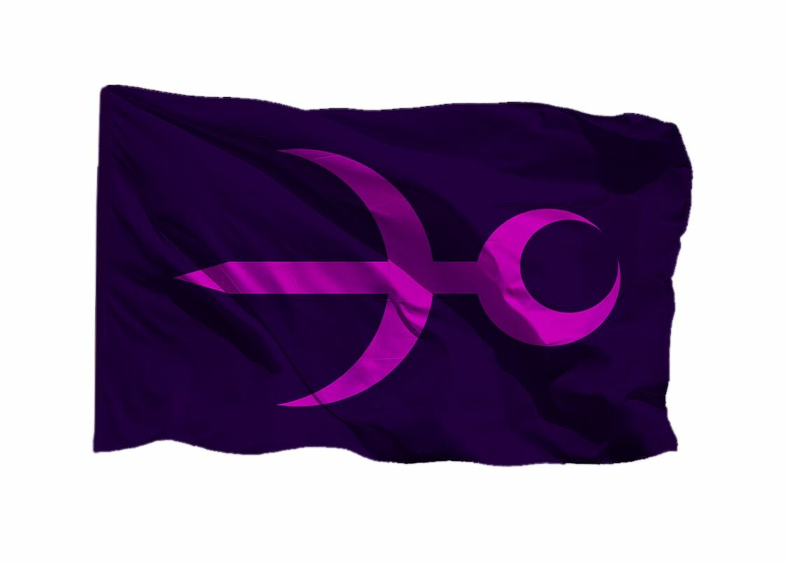 Флаг знамя Слаанеш Вархаммер Warhammer 40000 вариант 70х105 см на шёлке для ручного древка