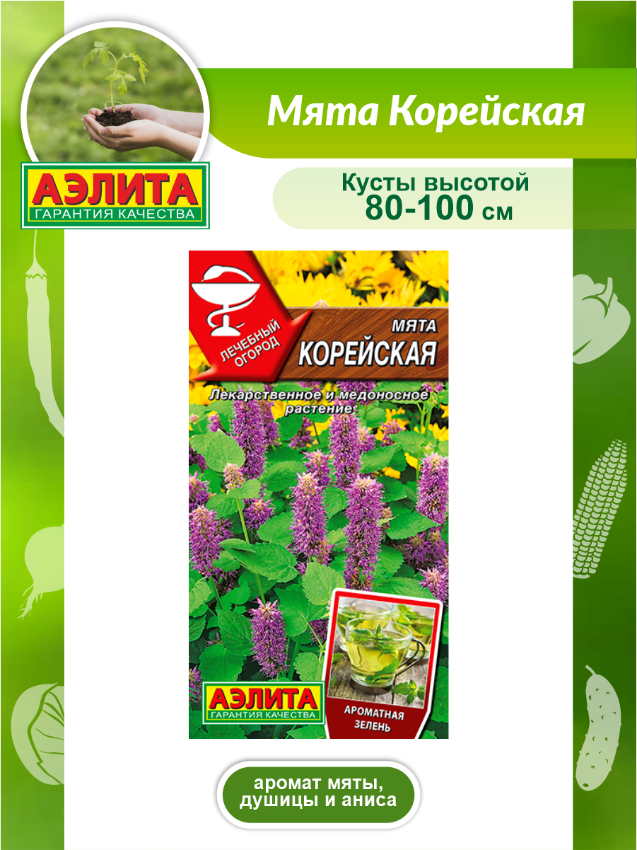 Семена Мята Корейская 0,05 гр.