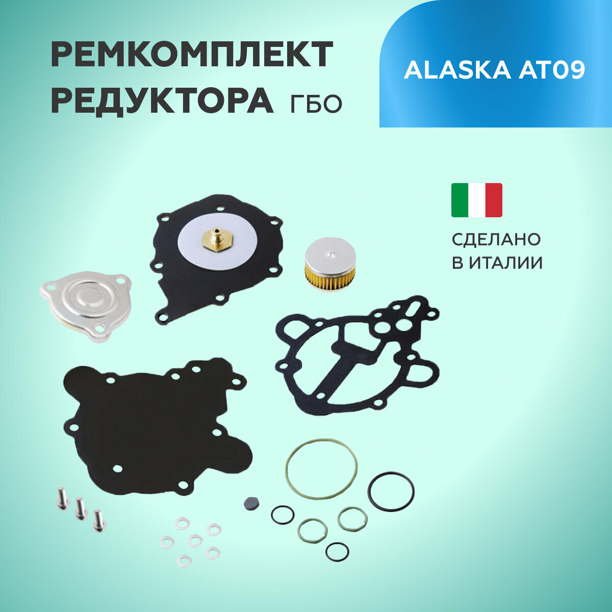 Ремкомплект редуктора ГБО TOMASETTO AT09 Alaska, Alaska Super (оригинал)