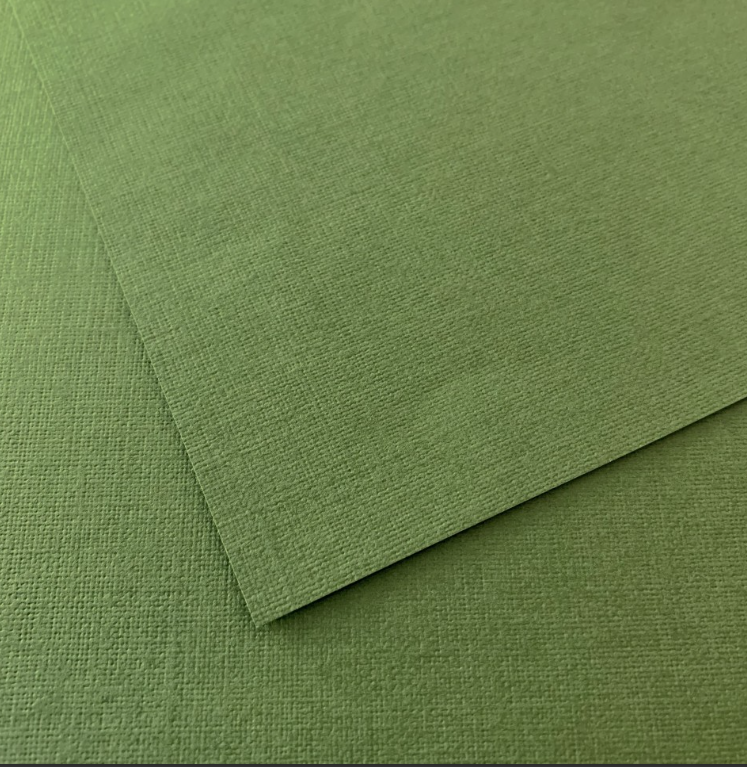 Бумага для пастелей "Палаццо" 210 х 297 "Dark Jungle" (темные джунгли) 160 г/м, пачка 50 листов