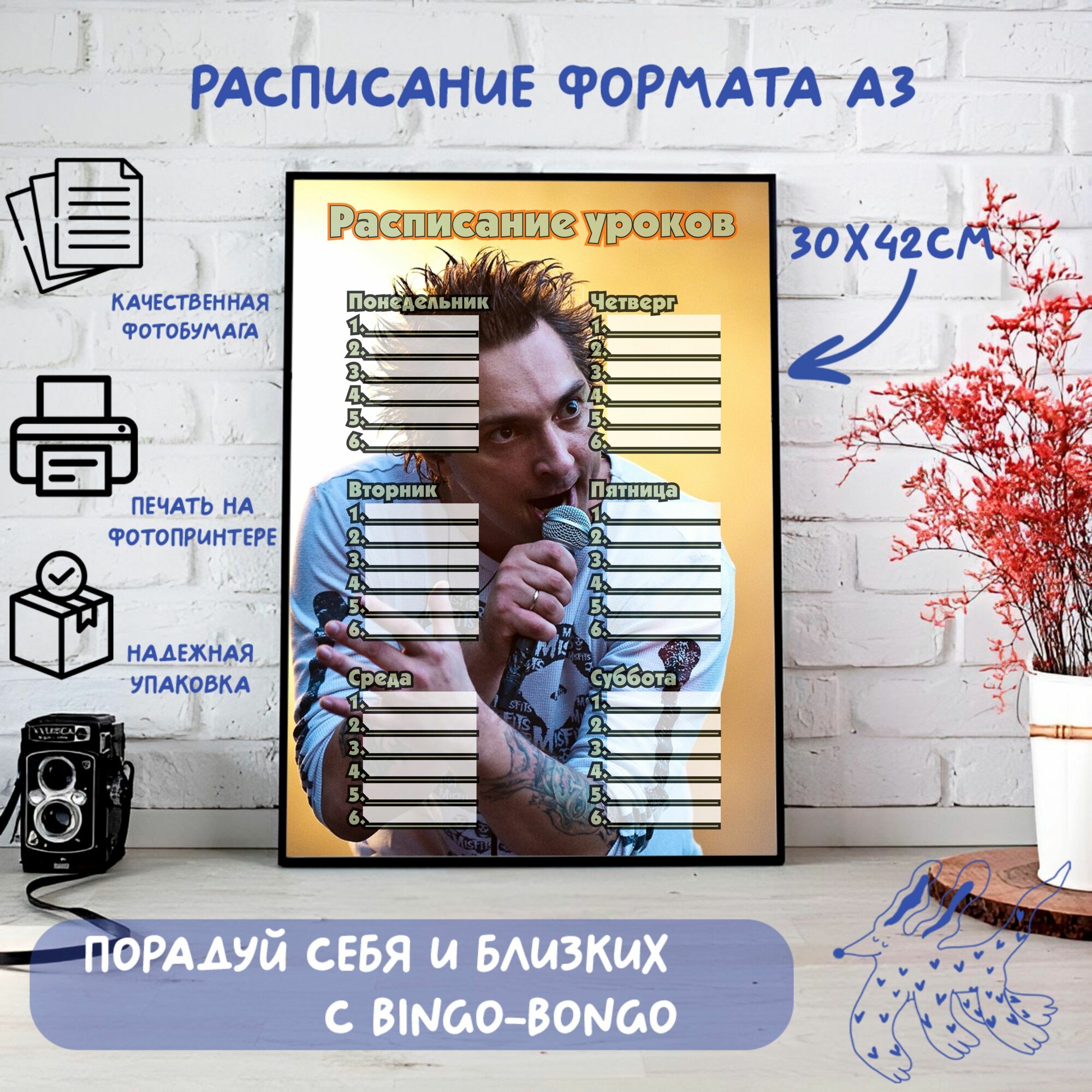 Расписание уроков формата А3 "Король и Шут"