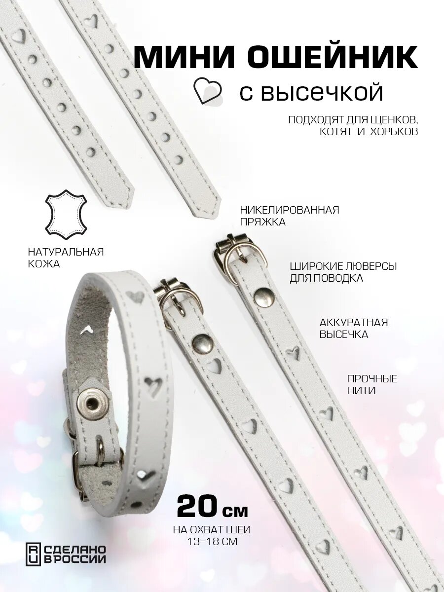 Ошейник из натуральной кожи для кошек, собак мелких пород и щенков