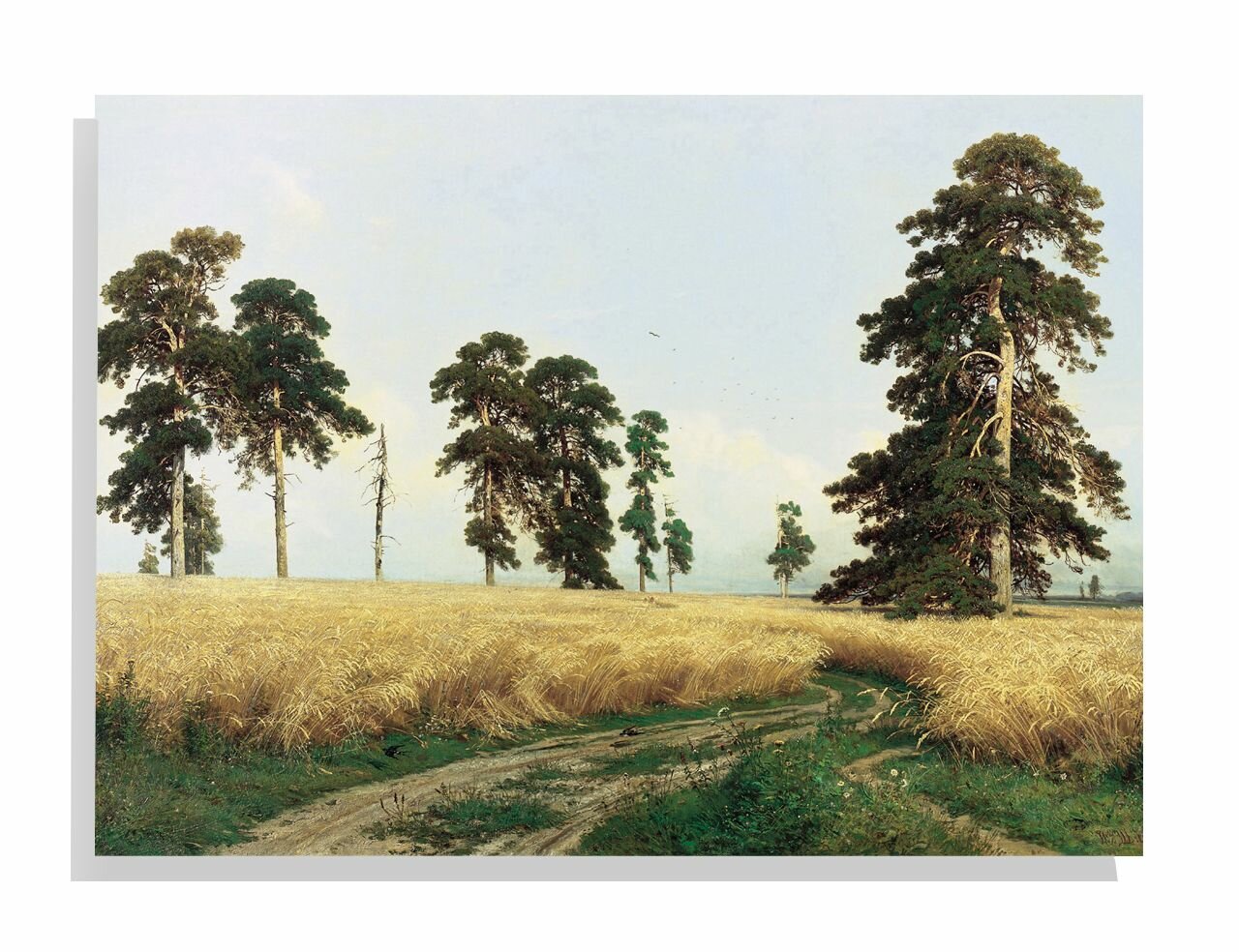 Картина на холсте, репродукция Рожь - Иван Шишкин