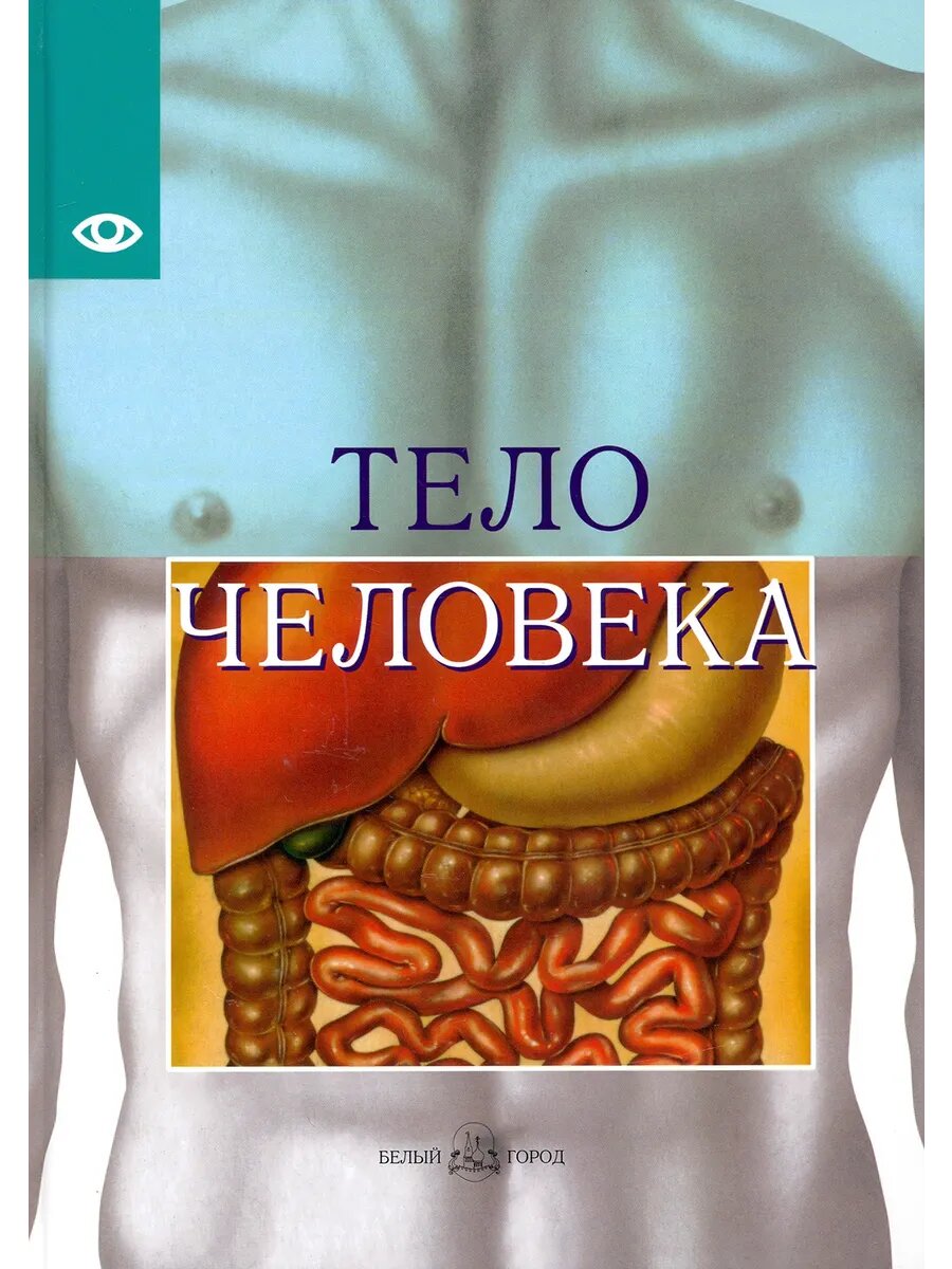Тело человека