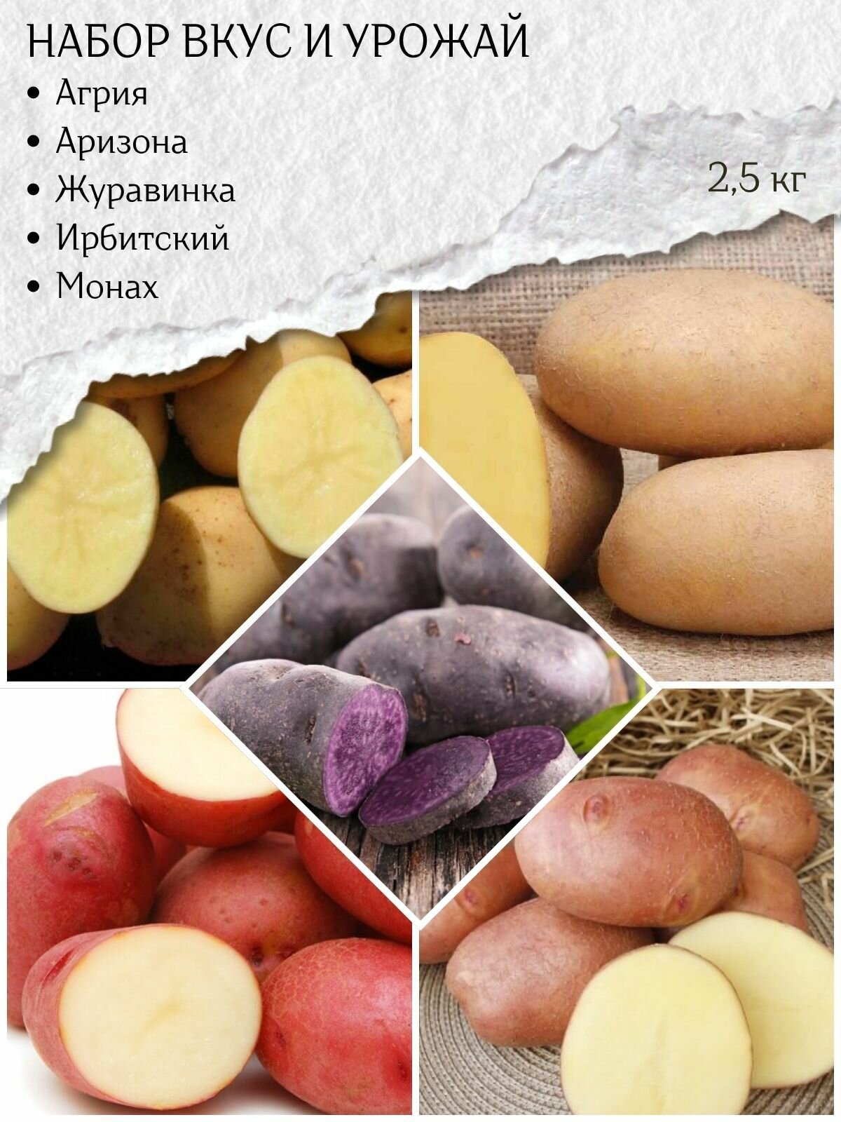Набор картофеля из 5 сортов "Вкус и урожай" (белый, красный, фиолетовый)