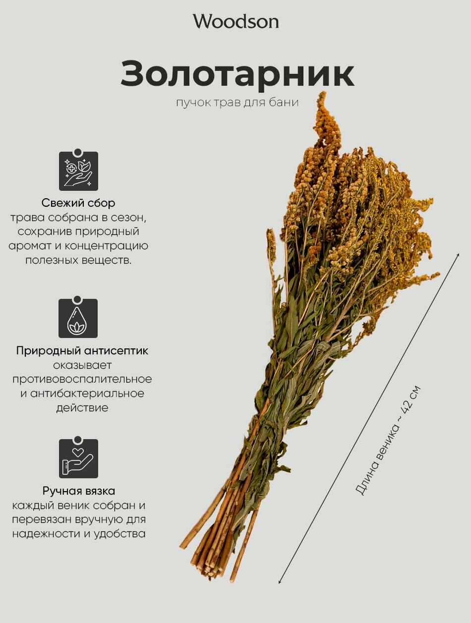 Веник для бани из золотарник, пучок, трава-запарник сухоцвет