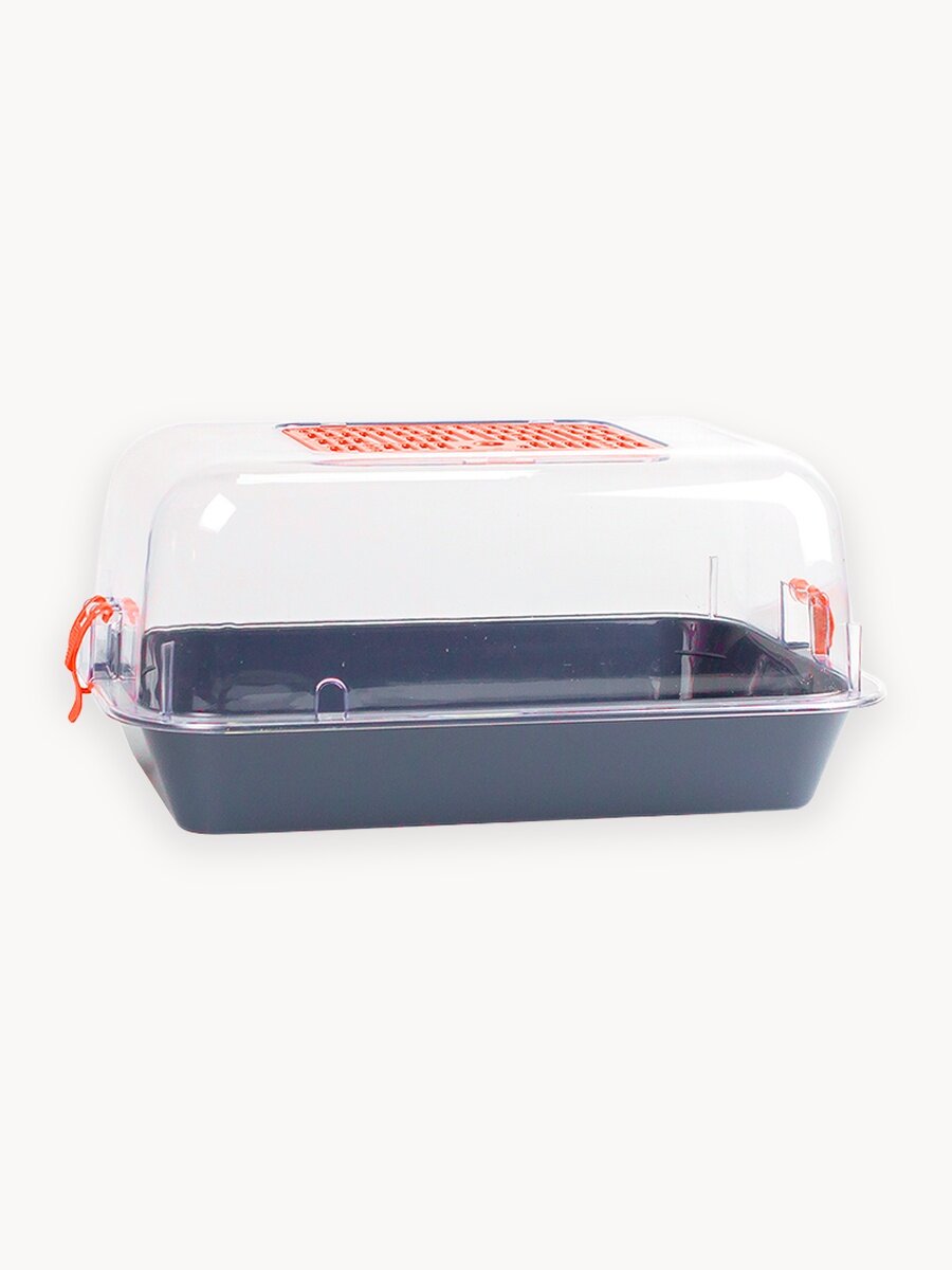 Террариум-клетка ZOOSET для улиток и мелких грызунов, 40х27х18 см, серый/оранжевый (прозрачная крышка)