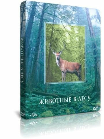 Животные в лесу DVD