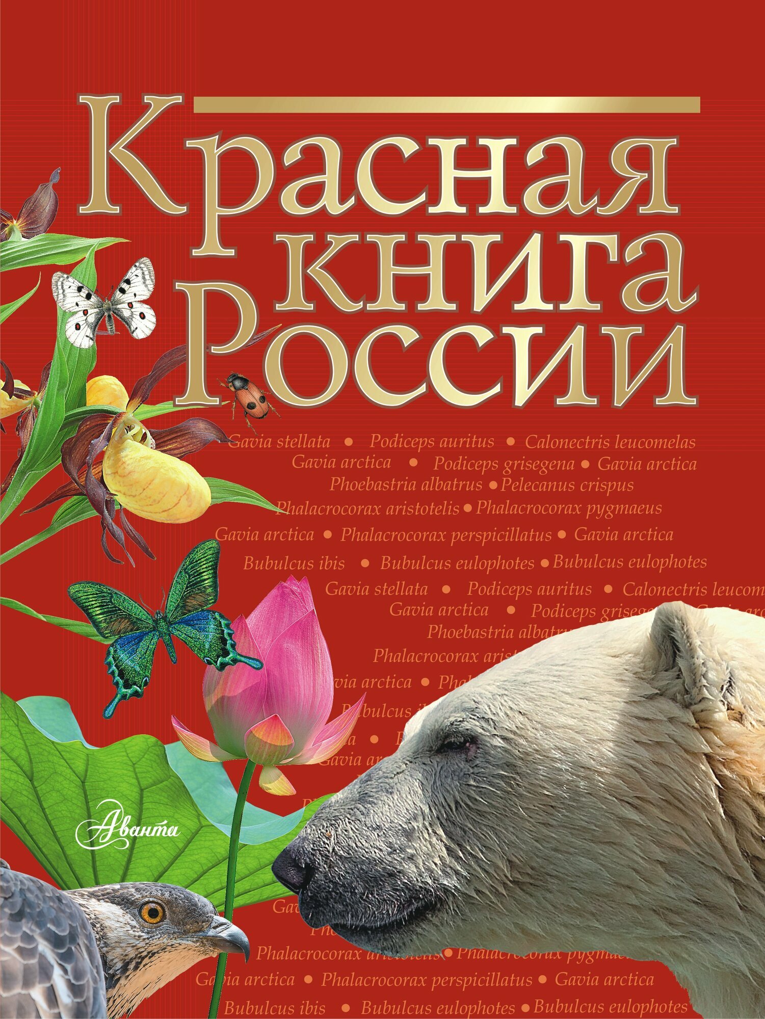Красная книга России / автор не указан