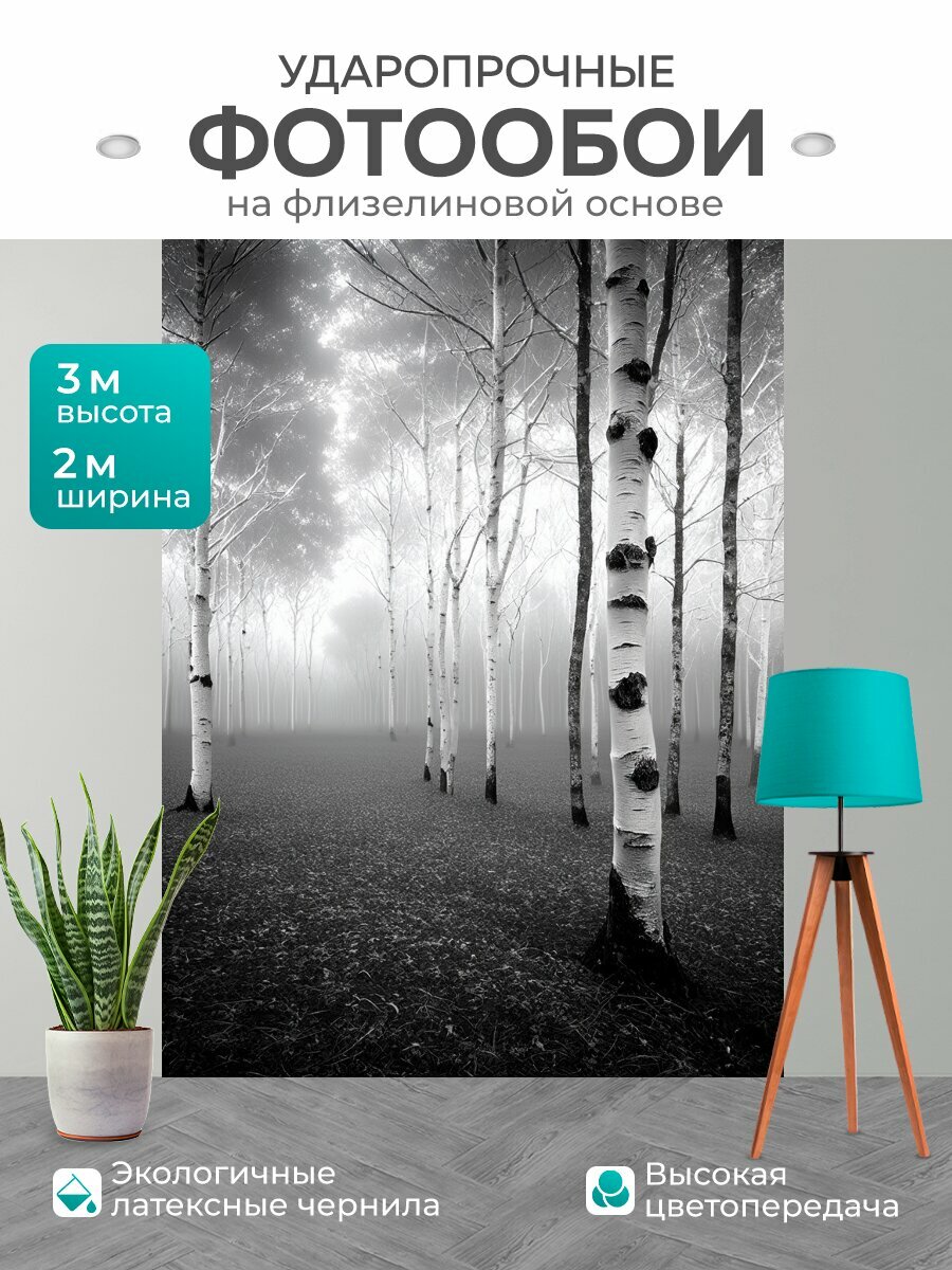 Фотообои моющиеся ударопрочные "Черно-белый с окутанным туманом берёзовым лесом, где белые стволы деревьев создают игру теней и света. сцена может" 200x300 см. флизелиновые на стену