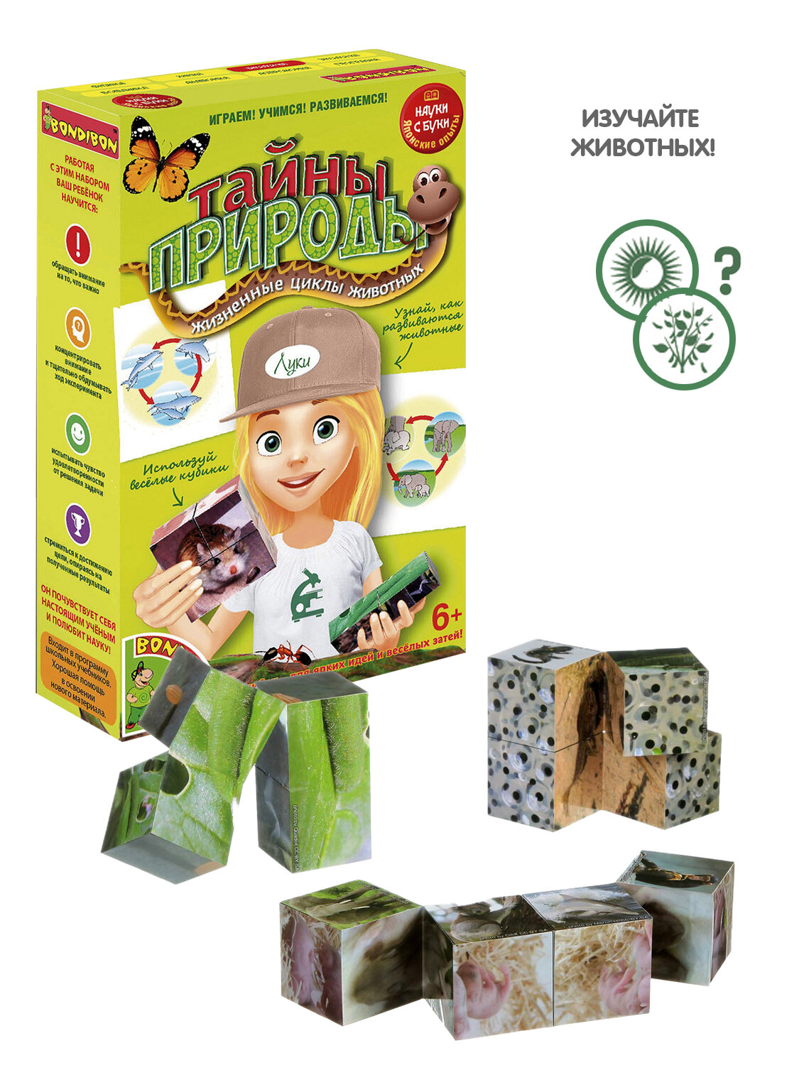 Набор для опытов Bondibon "Тайны природы" Японские опыты Науки с Буки