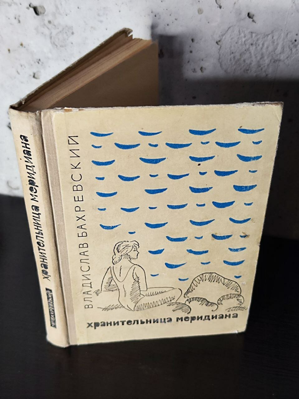Хранительница меридиана