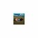 Диск Thornley - Come Again (1 CD)