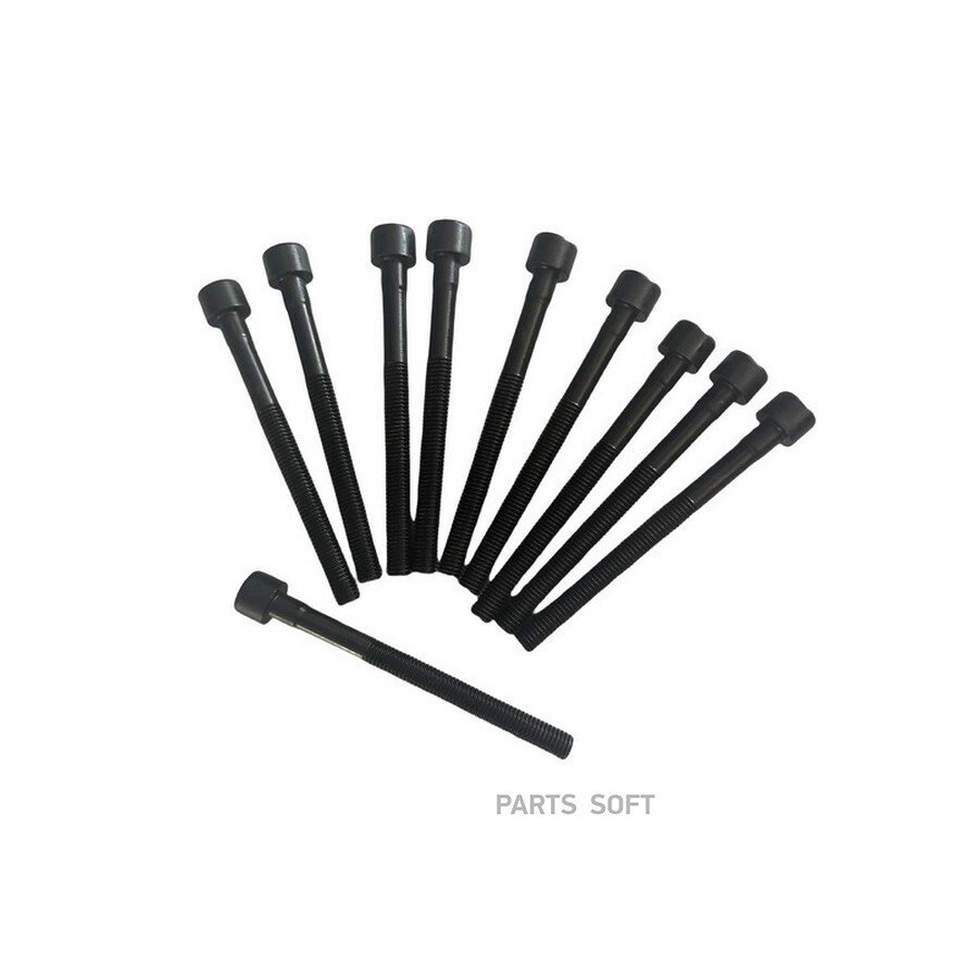 ABSEL NS019007K Комплект болтов ГБЦ