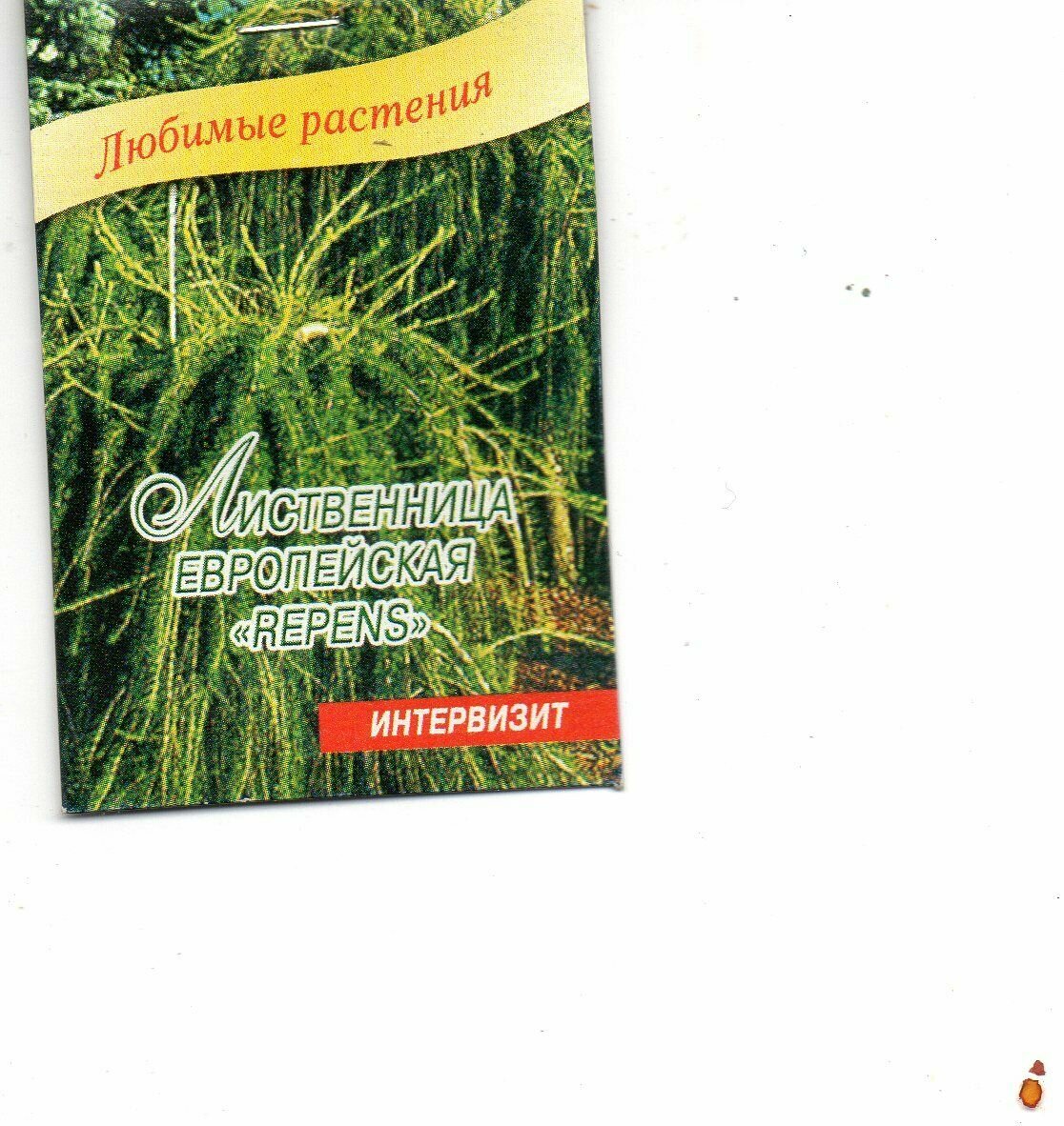 Лиственница европейская Repens семена