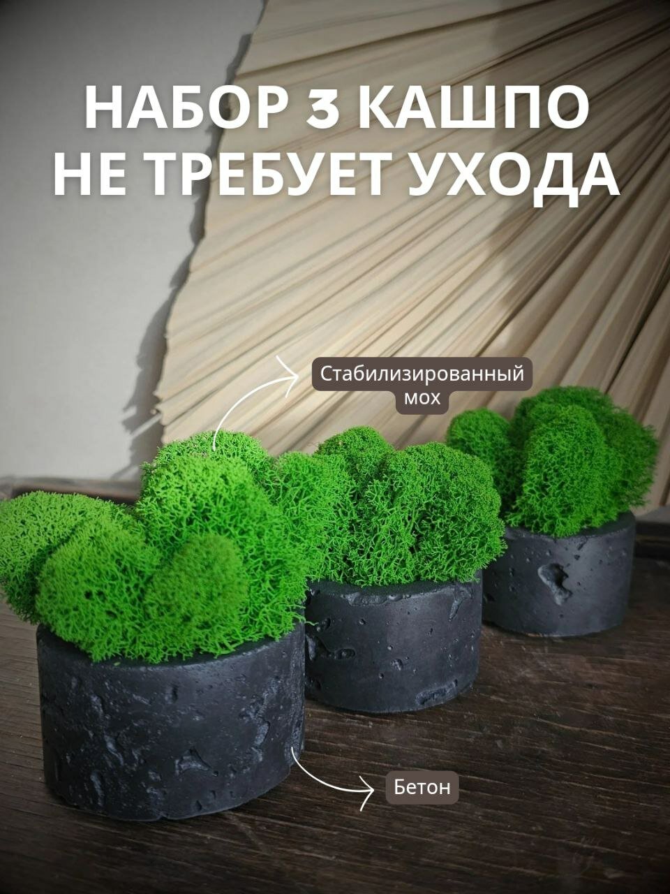 Набор из 3 чёрных кашпо со стабилизированным мхом Blid.beton, 8х7 см.
