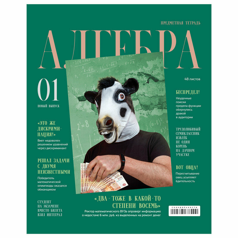 Тетрадь предметная 48л. BG "Скандальности" - Алгебра, глянцевая ламинация, 10 штук, 345267