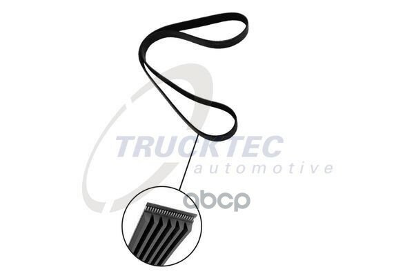 Ремень поликлиновой TruckTec арт. 04.19.012