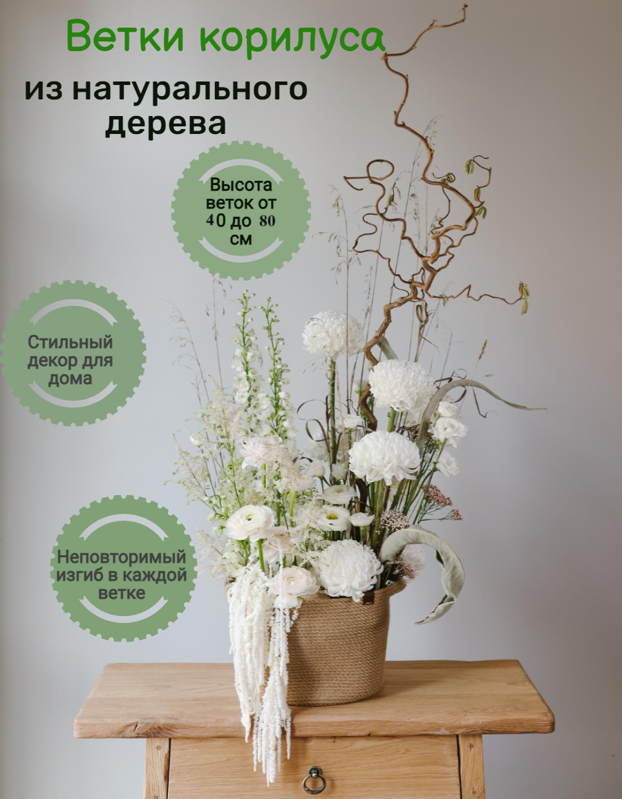 Сухоцветы для декора, корилус (ива извилистая), Набор декоративных веток для дома интерьера, 10 веток, от 40 до 80 см