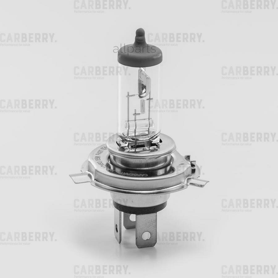 CARBERRY 31CA7 лампа H4 12V (60, 55W) DAYNIGHT DAYNIGHT