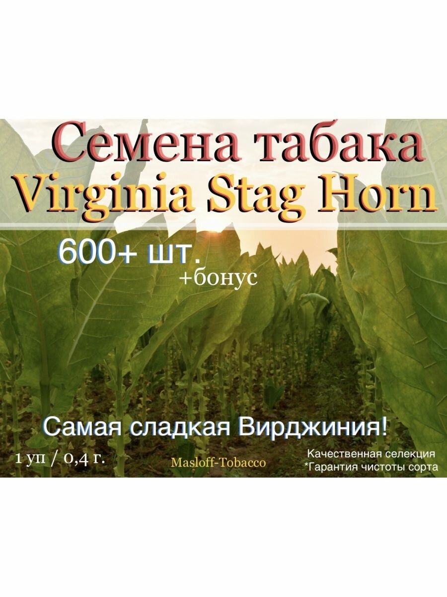 Семена табака Virginia Stag Horn