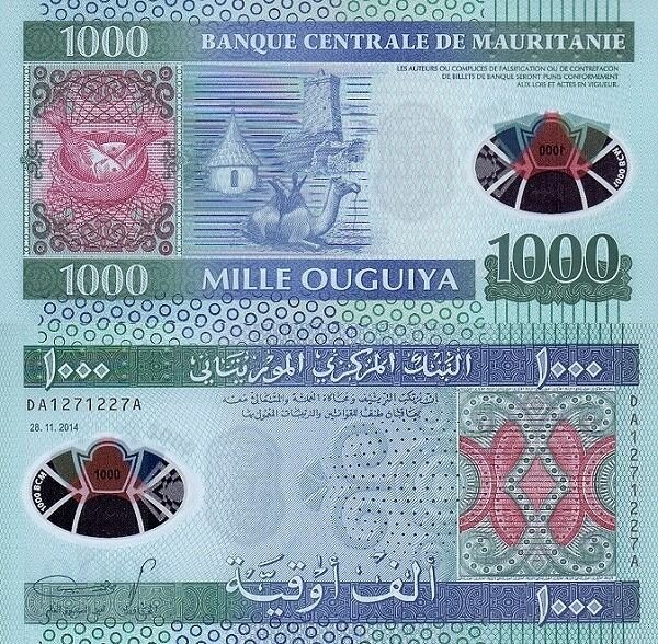 Мавритания 1000 угия 2014 Верблюд UNC