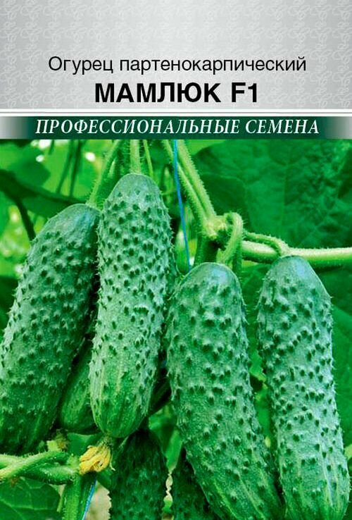 Семена Огурец Мамлюк F1