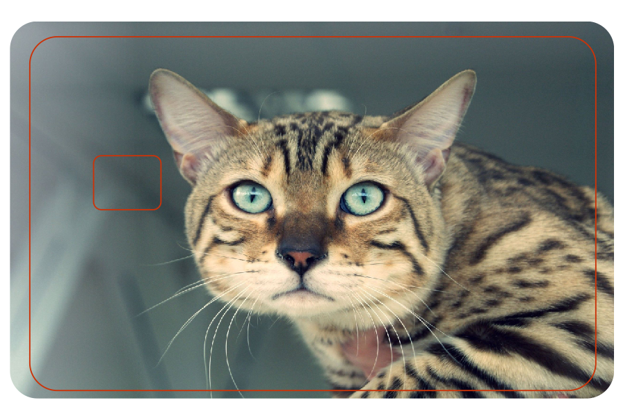 Наклейка на банковскую карту, стикер на карту, кошки