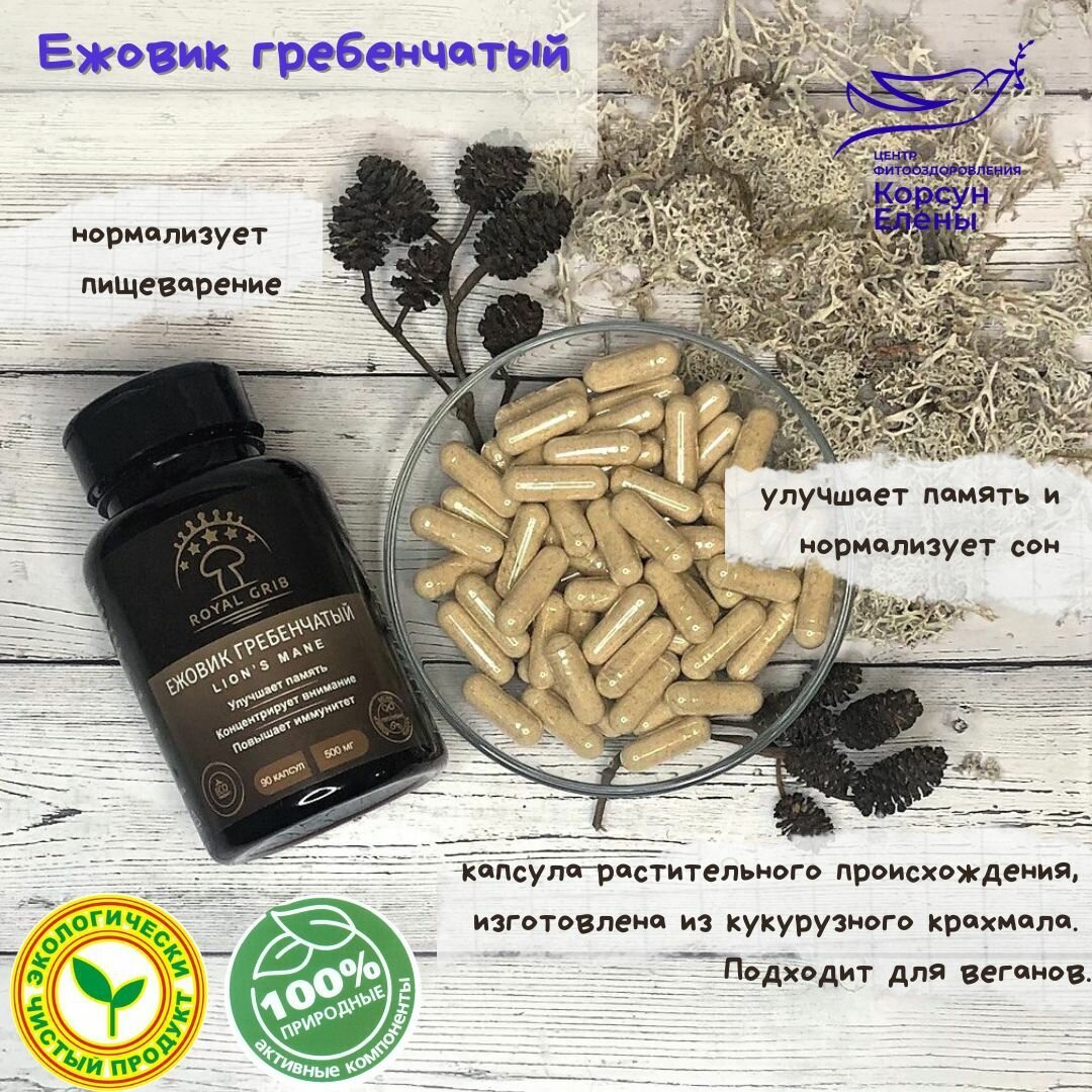 Ежовик Гребенчатый капсулы,90 шт. 500 мг