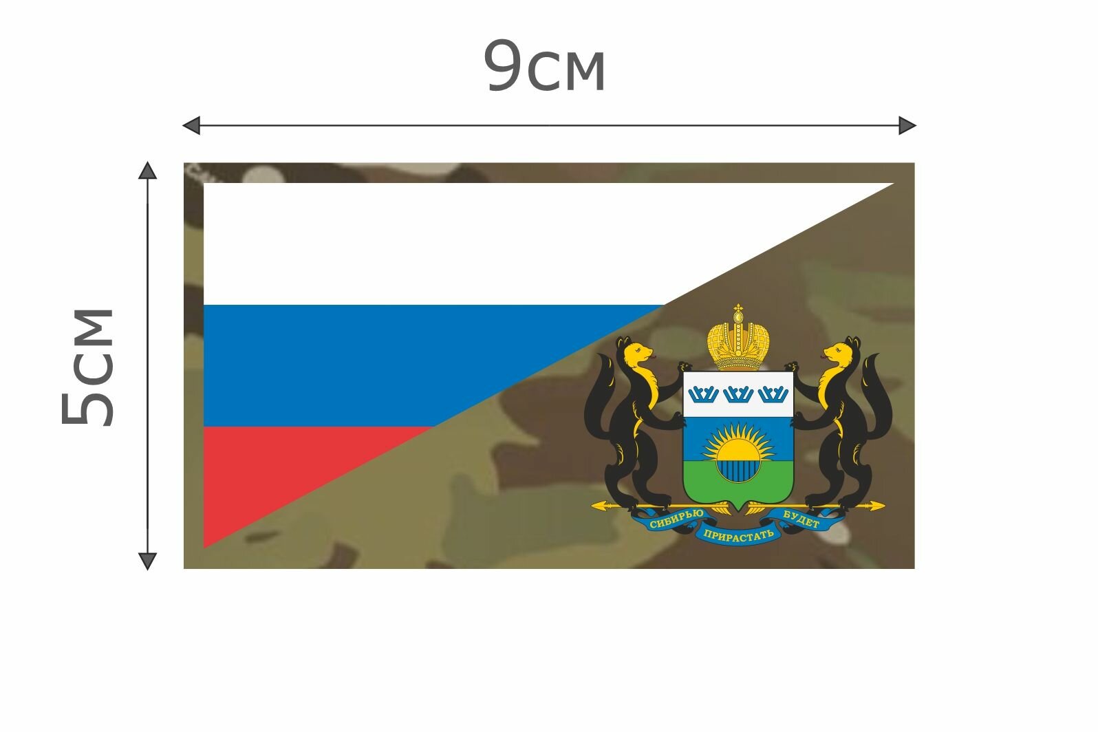 Ф072MC Нашивка , патч (шеврон) MC Флаг РФ Тюменская область 5*9 см