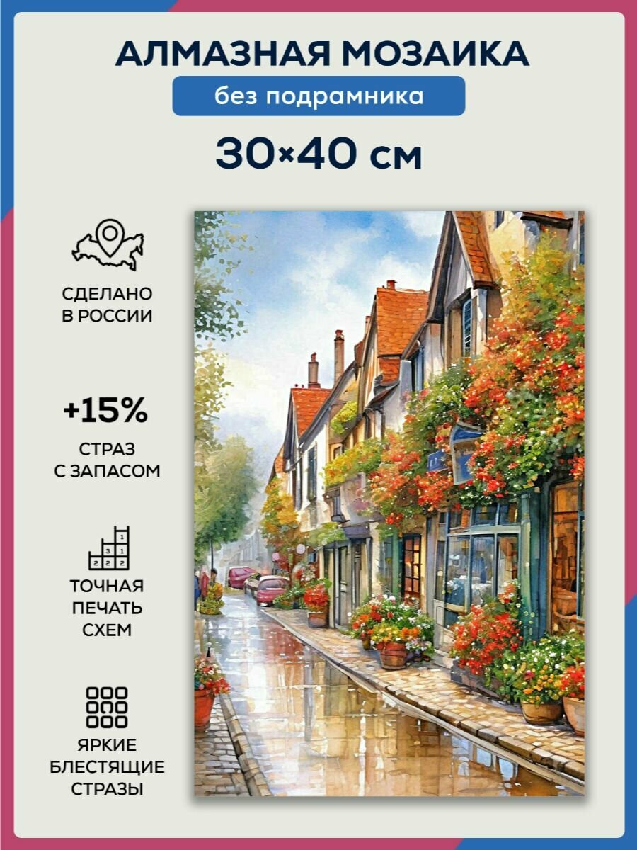 Алмазная мозаика 30x40 Улочка и цветы без подрамника