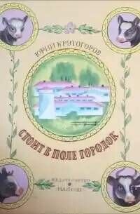 Стоит в поле городок