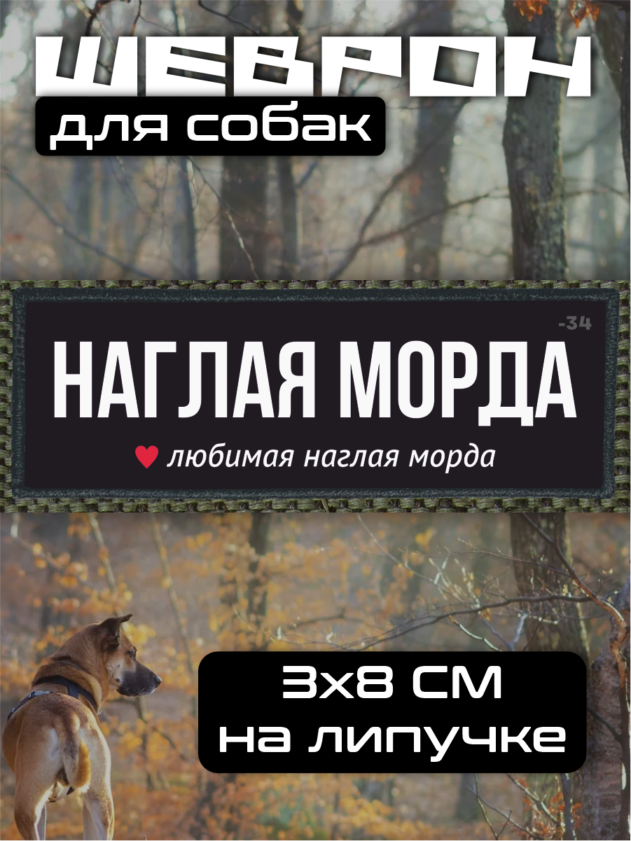 Шеврон на липучке для собак Наглая морда надпись