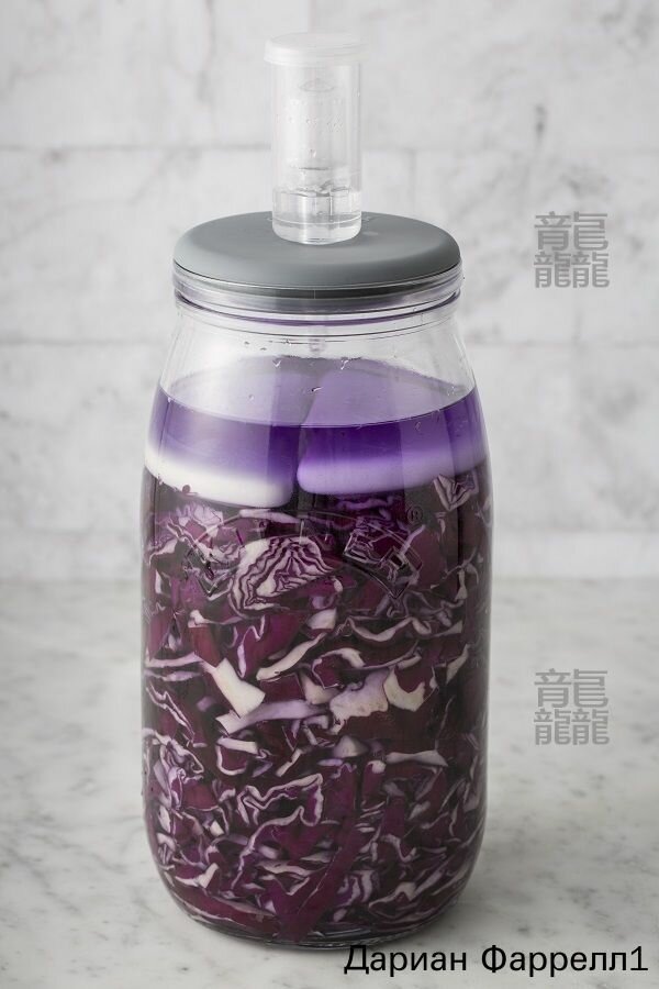 Набор для ферментации Kilner — фото 1