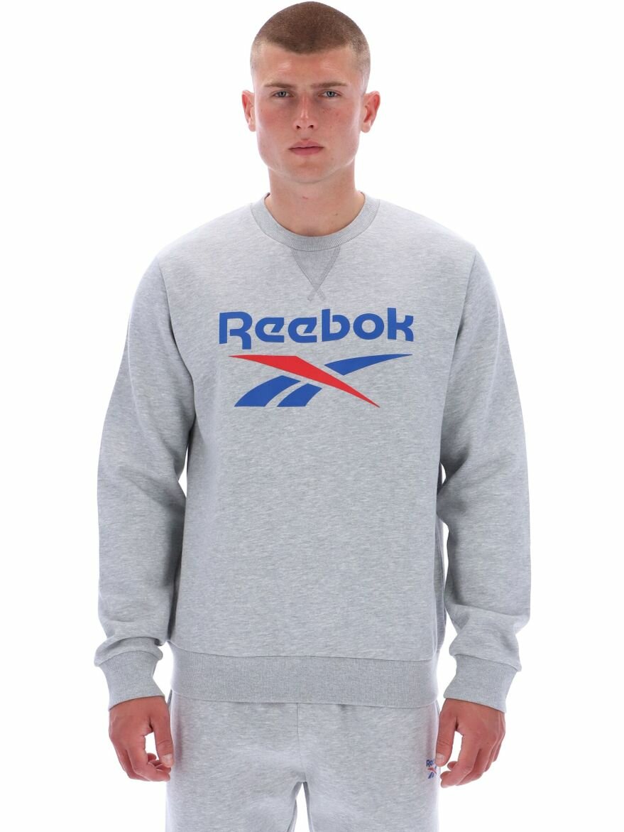 Свитшот Reebok Julian 2 Col Logo Crewneck Sweatshirt