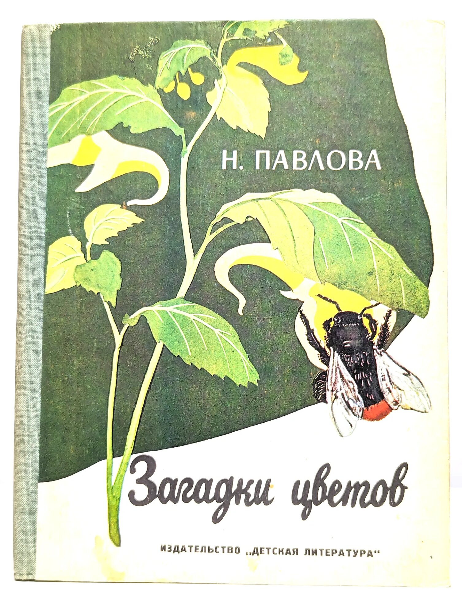 Загадки цветов Павлова Нина Михайловна 1977