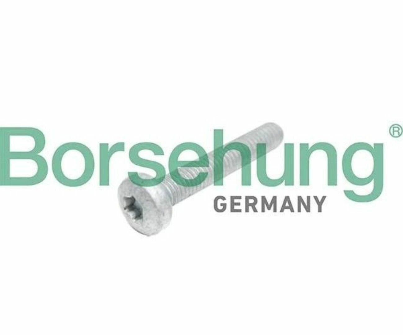 Болт крепежный Borsehung B10645 M6, с плоской головкой, Skoda, Seat, VW, Audi